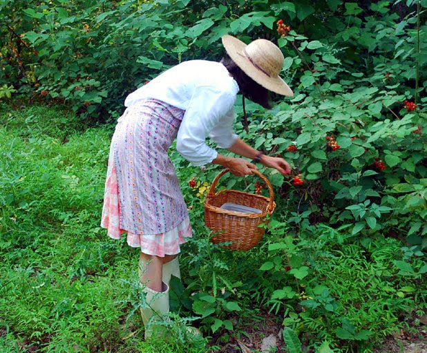 Moments With Mother Culture®: Raspberry Picking – Answering a Good ...