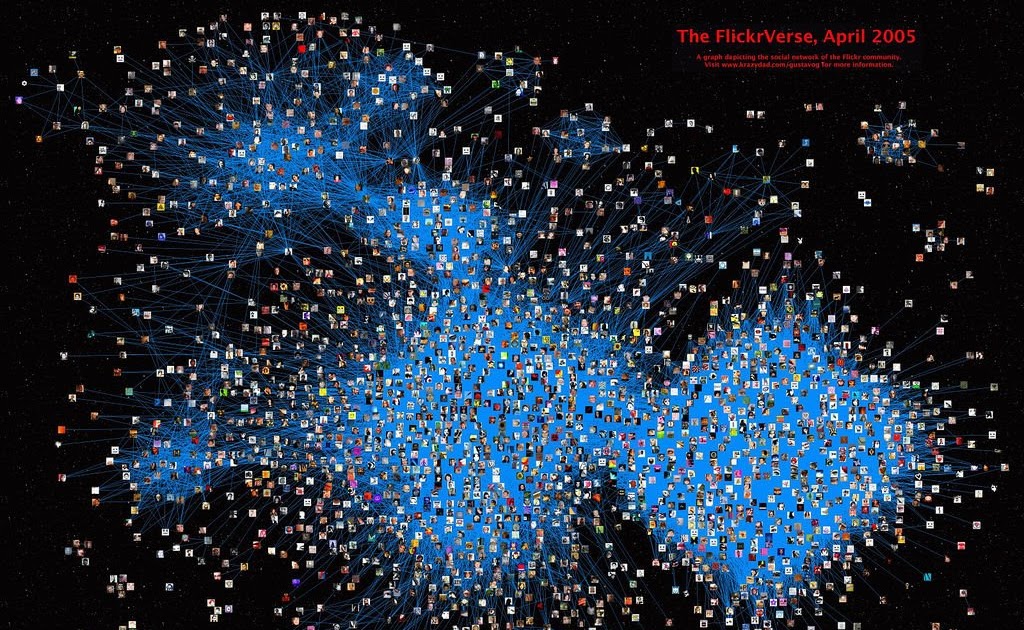 The Clever Sheep: Networks Inside and Out