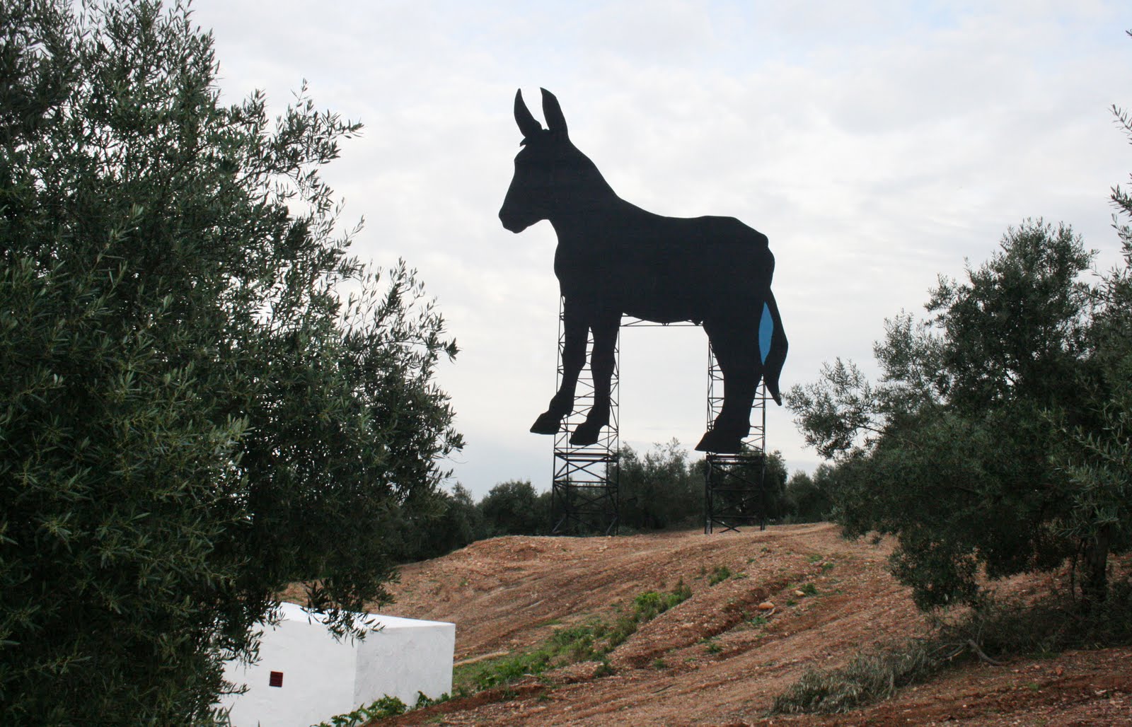 El Burro Grande por fin en El Carpio