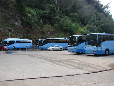 Buses from various cities in the world.: Autocarros da TUI