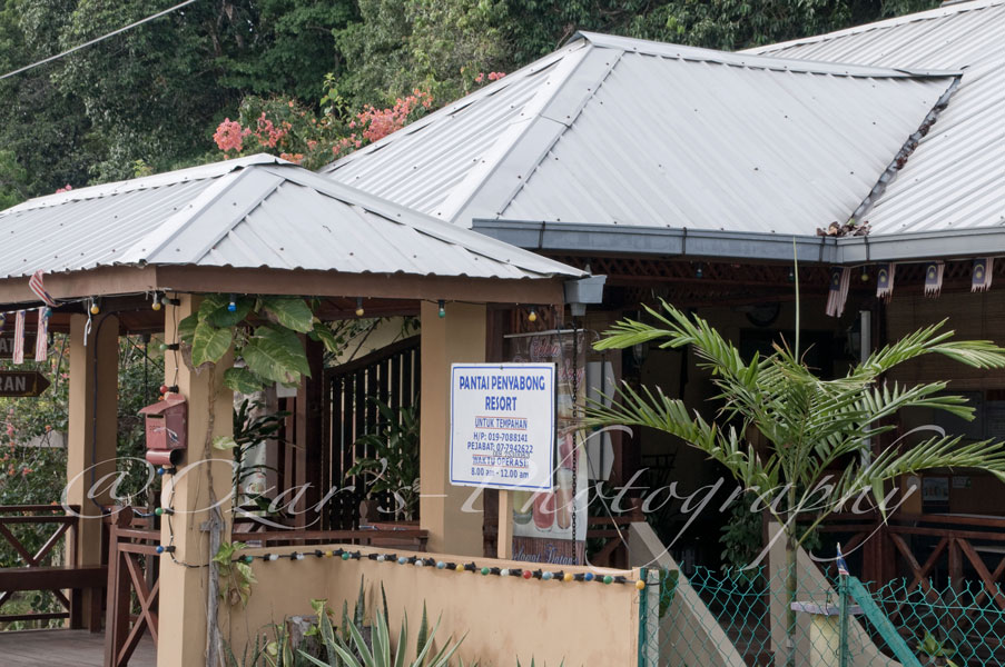 Through My Lenses: Endau Beach Resort
