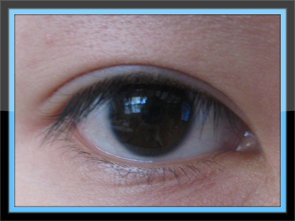 Anyone Else Have Eyelashes Which Point Inwards Uwaterloo Anyone Else Have Eyelashes Which Point Inwards Uwaterloo