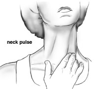 Physical Fitness & Me: Your Pulse and Your Target Heart Rate