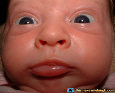 Angry Babies ~ Now That's Nifty