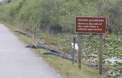 Funny & Interesting Email Forwards: Funny Florida Road Sign