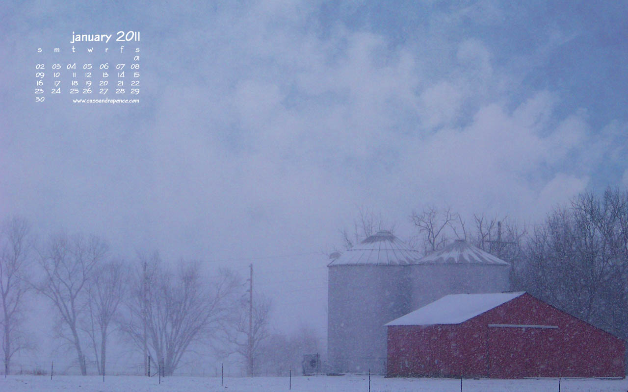 sassafras: January 2011