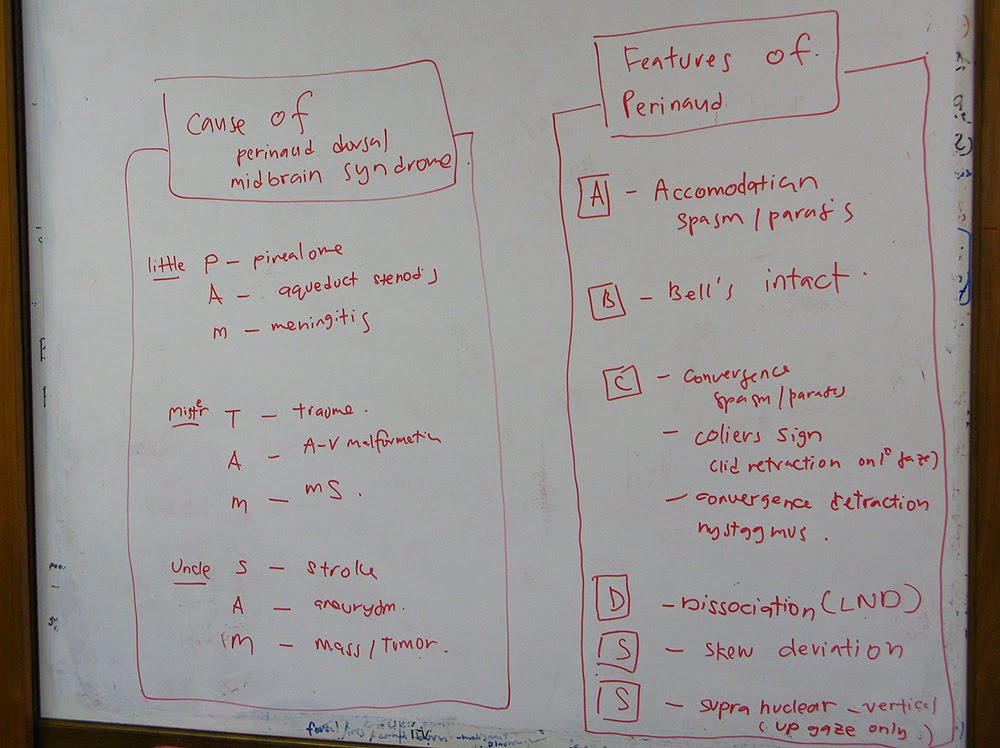 UKM Ophthal Part 2 2010: Perinaud Dorsal Midbrain Syndrome