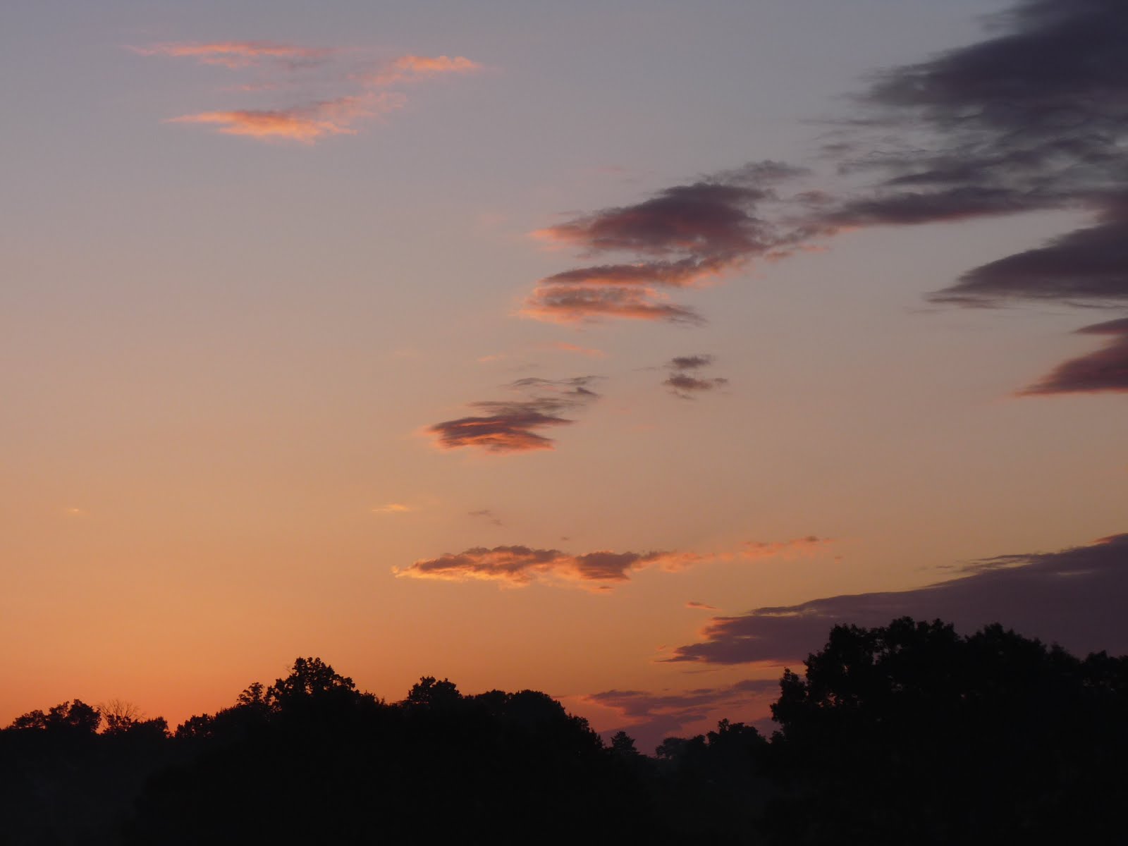 The Greenbelt: Sky Watch: Clouds at Dawn