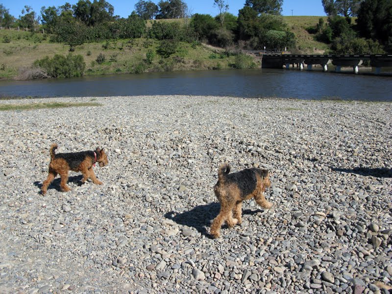 The Rubydale Times: 2010