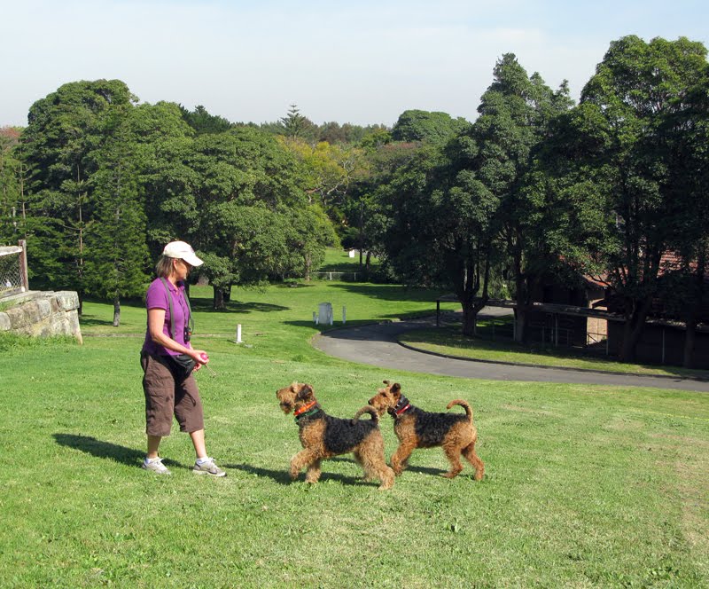 The Rubydale Times: Callan Park