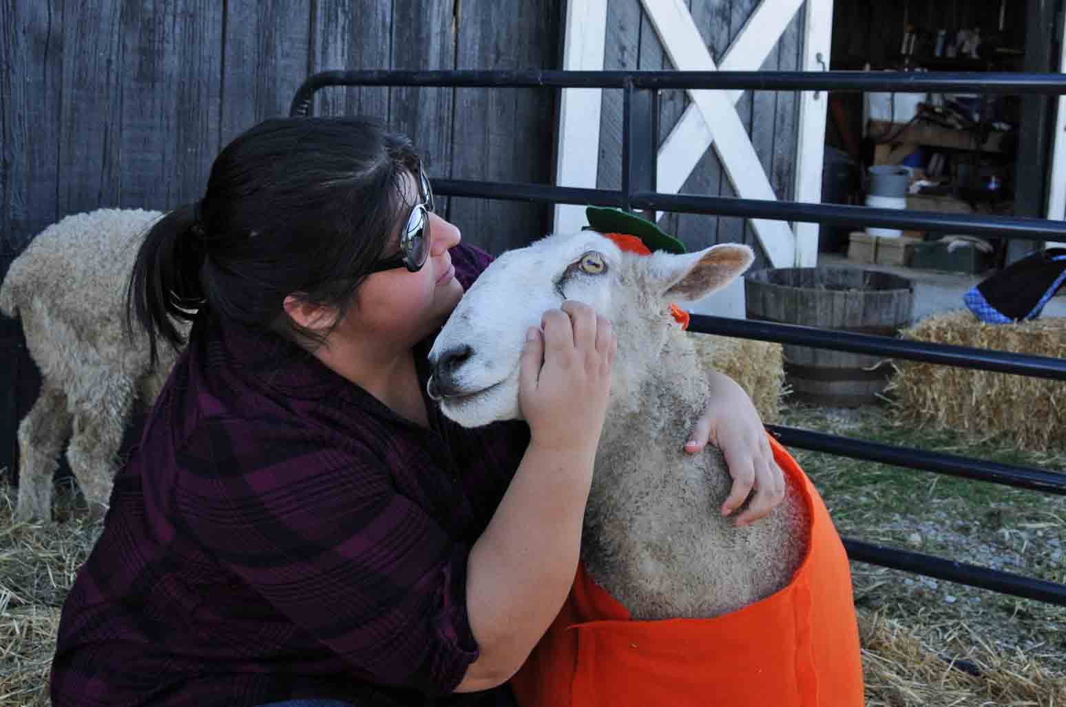 Punkin's Patch: Hug A Sheep Day