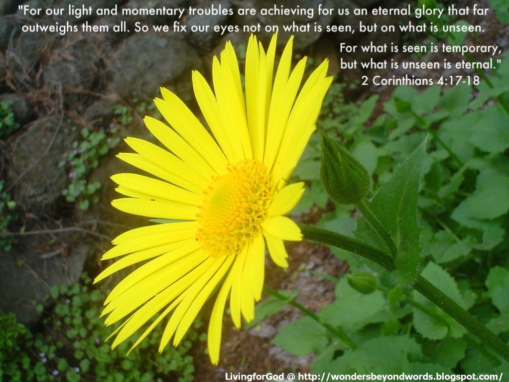 Temporary vs. Eternal