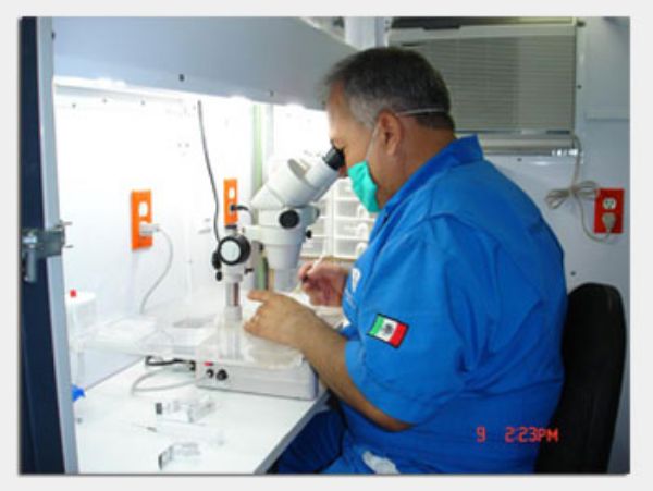 REPROGEN-BOVINOS: Examen andrologico del toro y semen