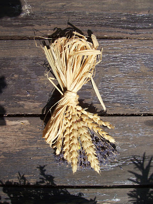 Images-Photos: Petite gerbe de blé