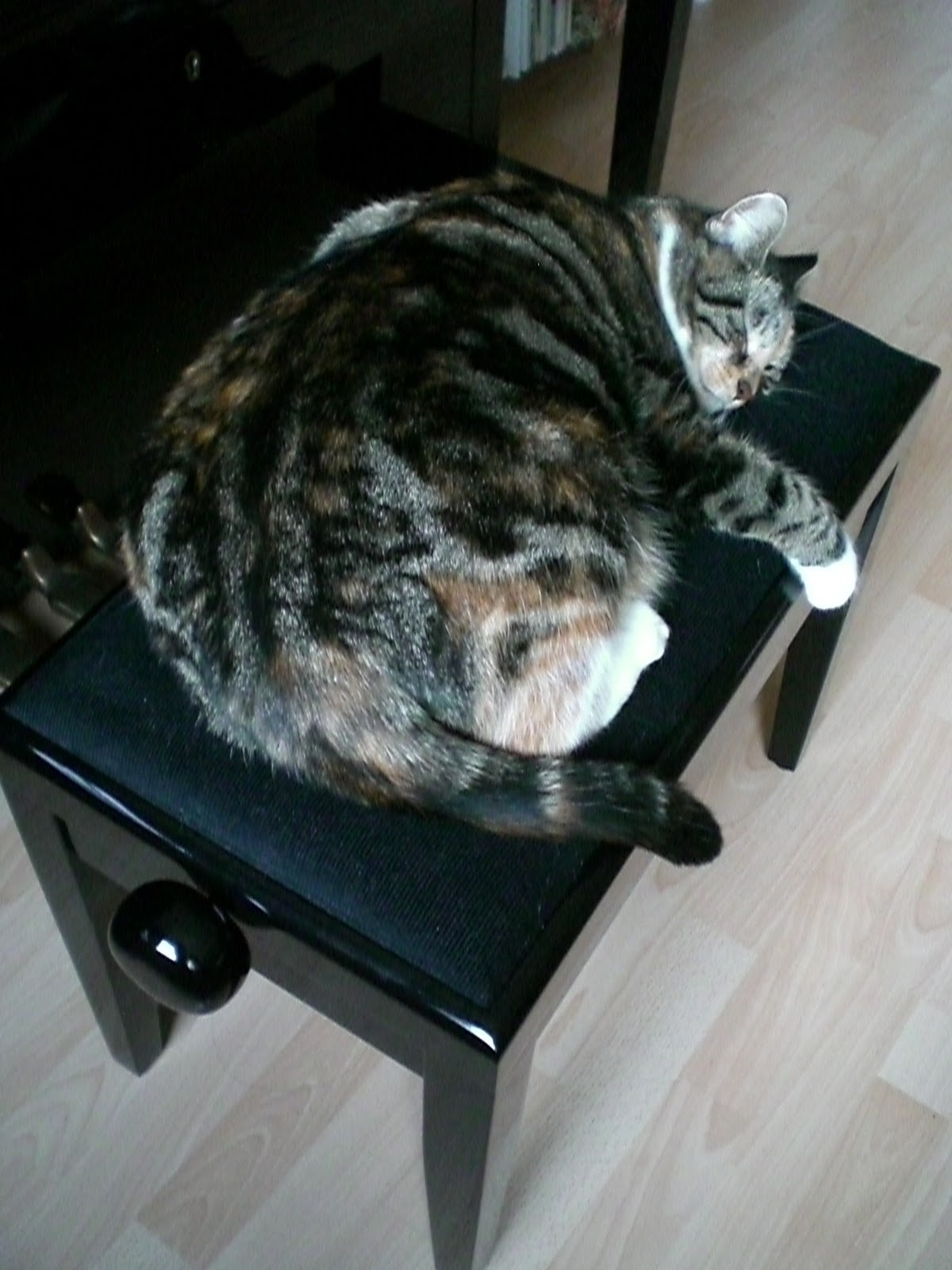 とらふぐノート: faul と fleißig