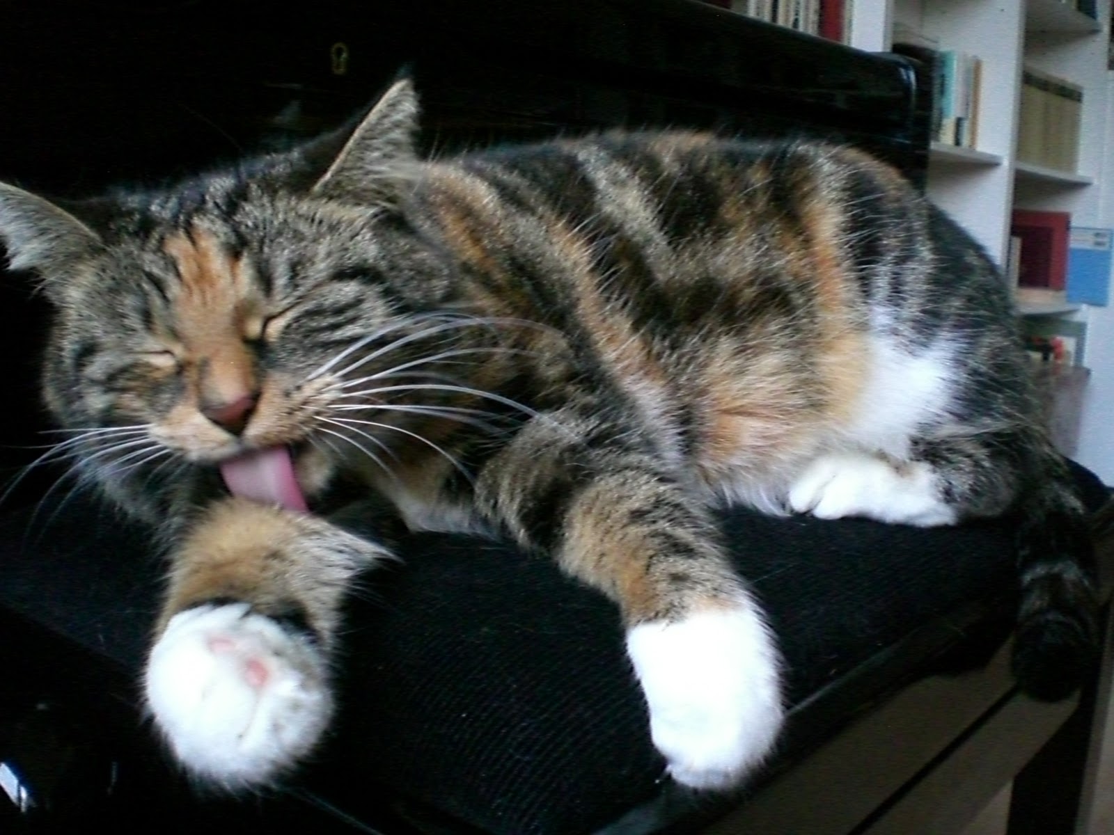 とらふぐノート: faul と fleißig