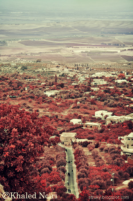 struky Photoblog: Djebba en rouge: