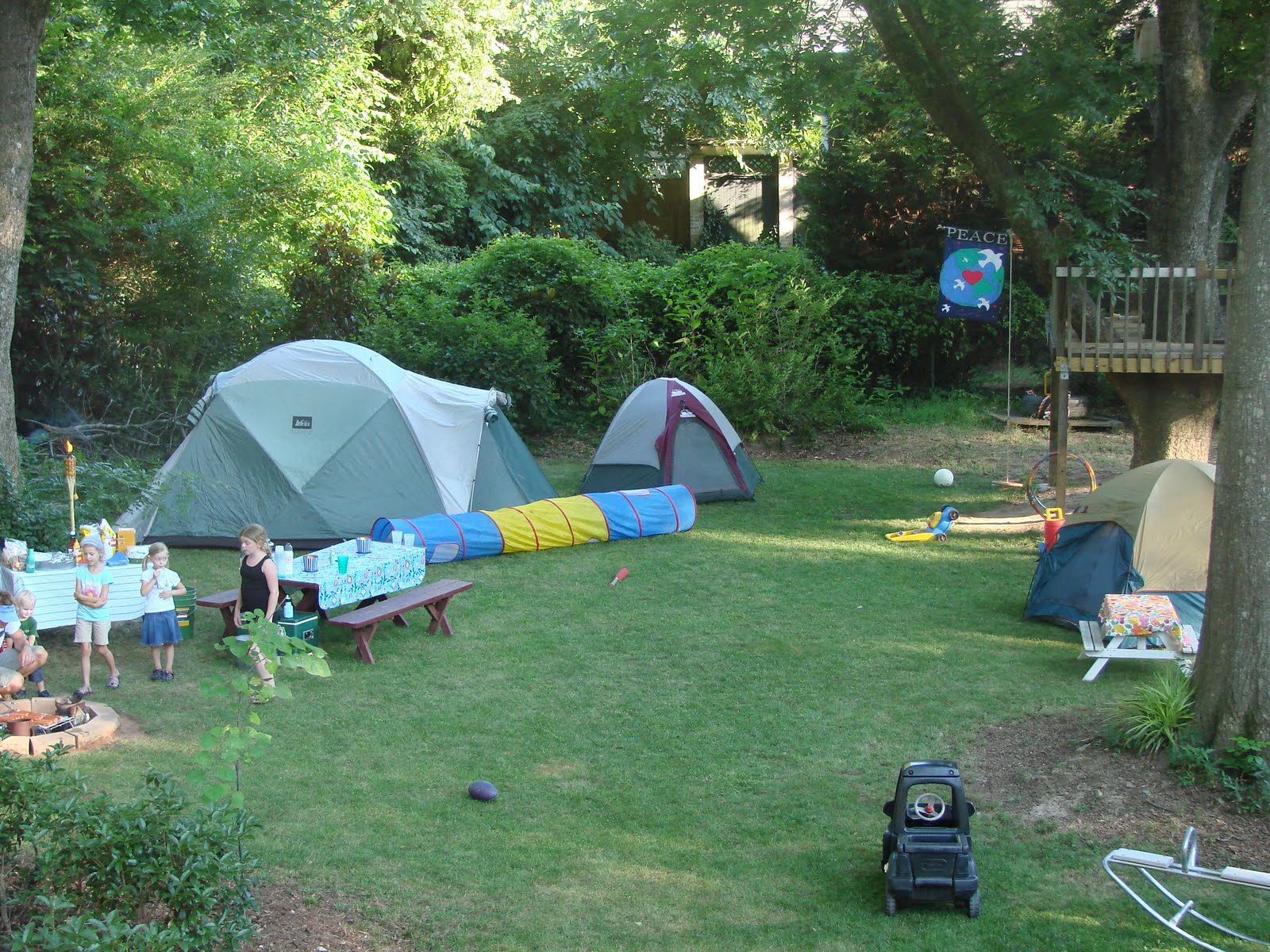 August Sky: Backyard Camp Out