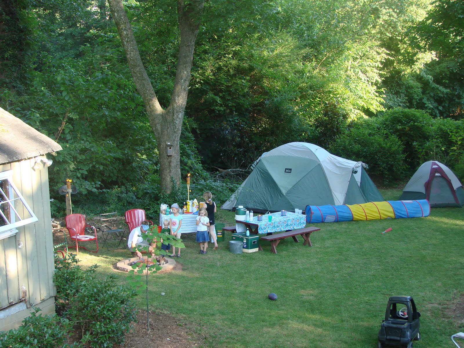 August Sky: Backyard Camp Out