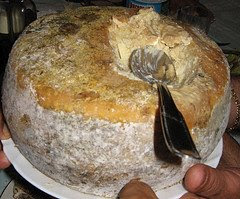 Auckland city: "Worm cheese", anyone? ;) - Cazu Marzu, the "illegal cheese"