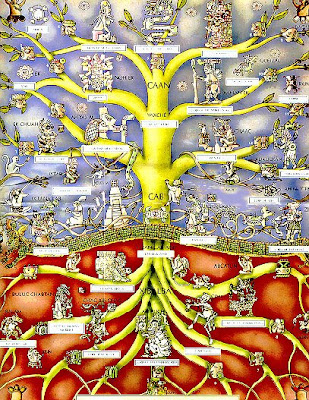 TOURS EN YUCATAN: ceiba tree o yaxche