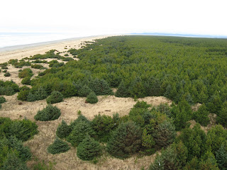 The Bri-onic Man: Leadbetter Farms Lighthouse
