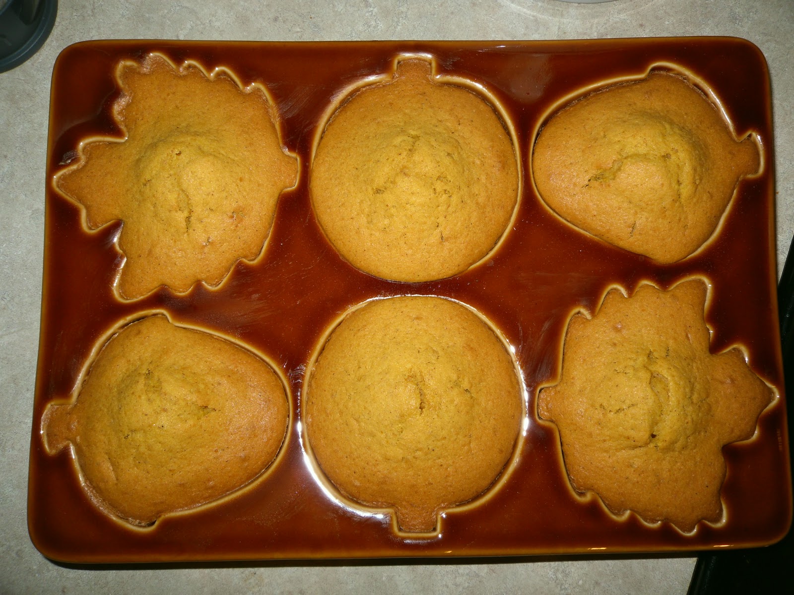 ~Tidbits of Food & Life~