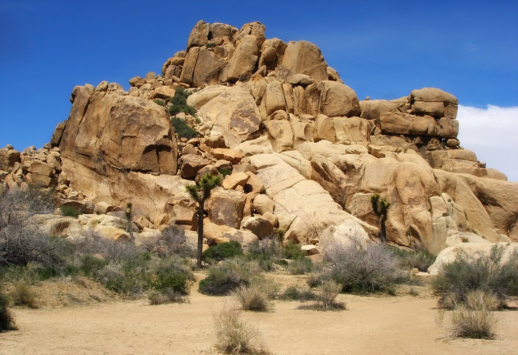 The Four Seasons: Wonderland of rocks - Joshua Tree National Park