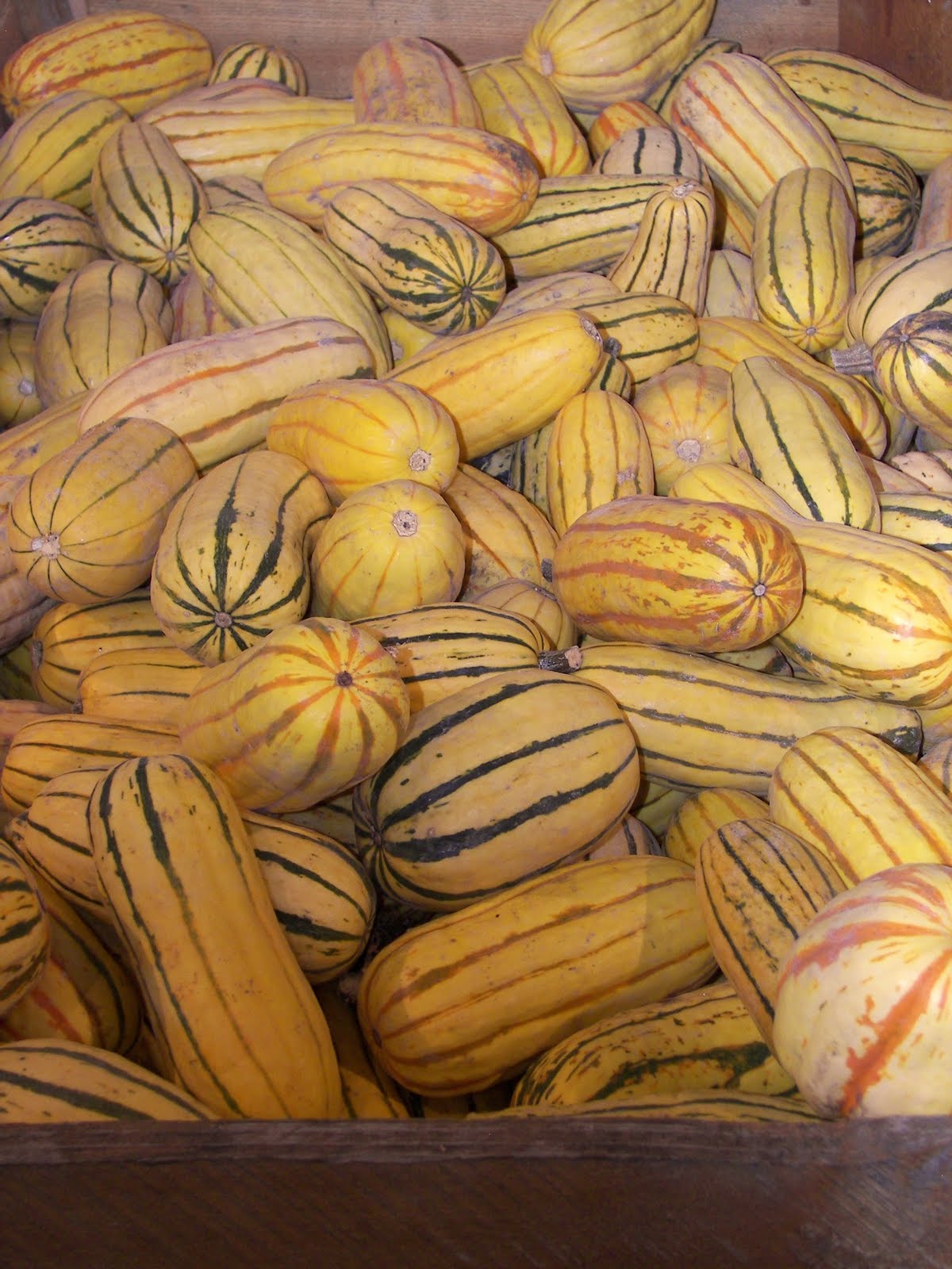 A Bit of Yellow: Yellow Stuff