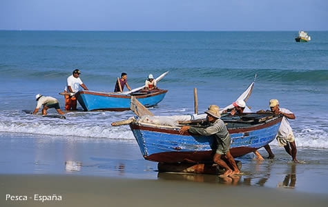 Los sectores en Andalucia: La pesca