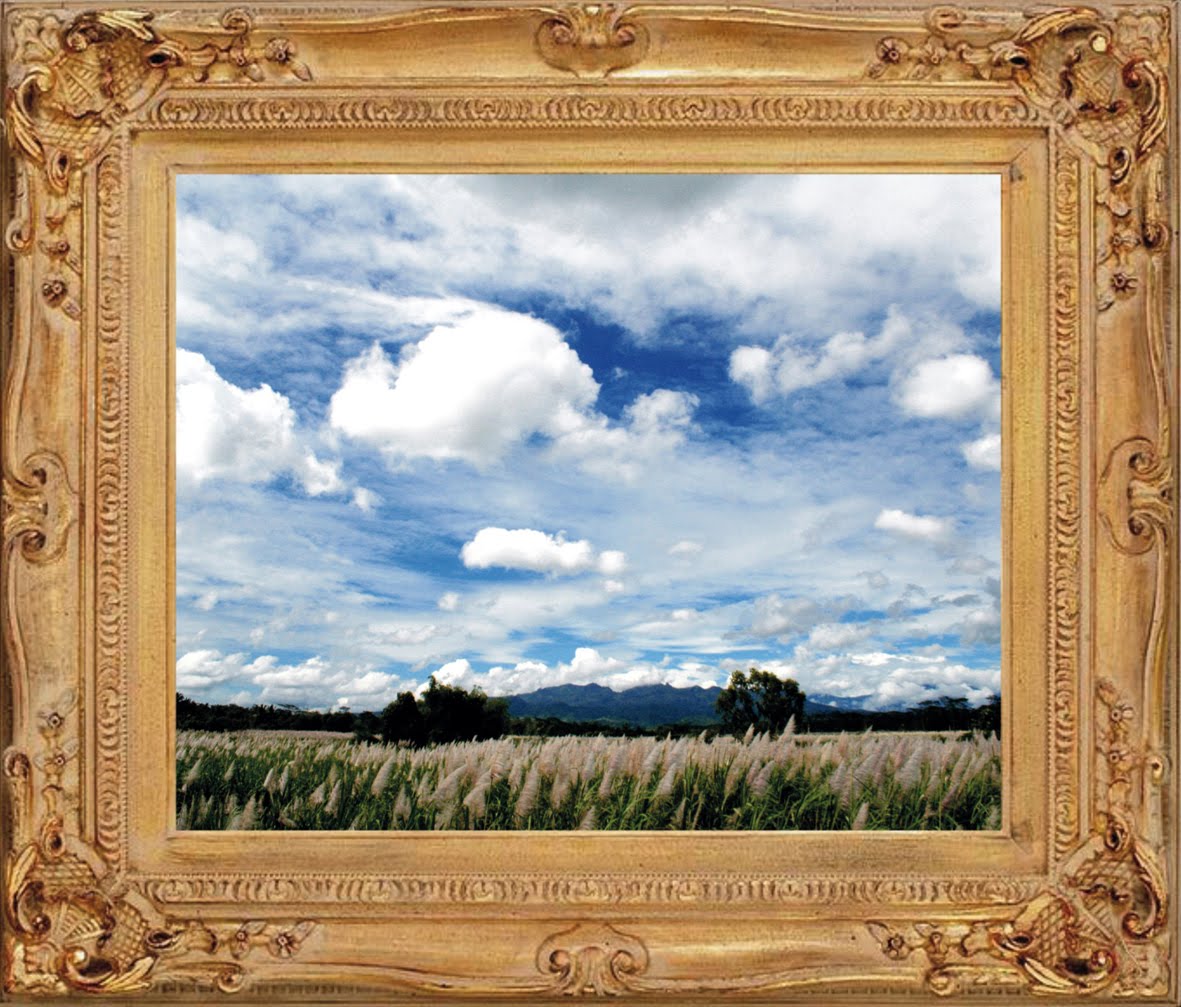 savitri wedding beauty: NATURAL PRE WEDDING : Keindahan Berbingkai Alam