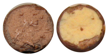 On Second Scoop: Ice Cream Reviews: Eskimo Pie "Snack Size" Flavored Bars