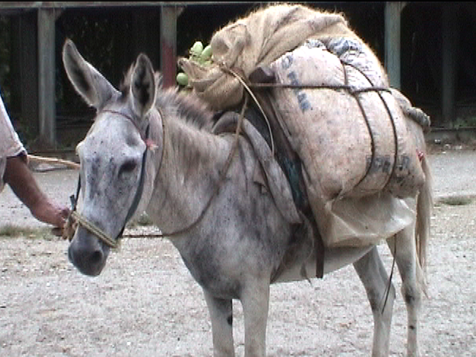 Enciclopedia de Historia Local: 07/04/10