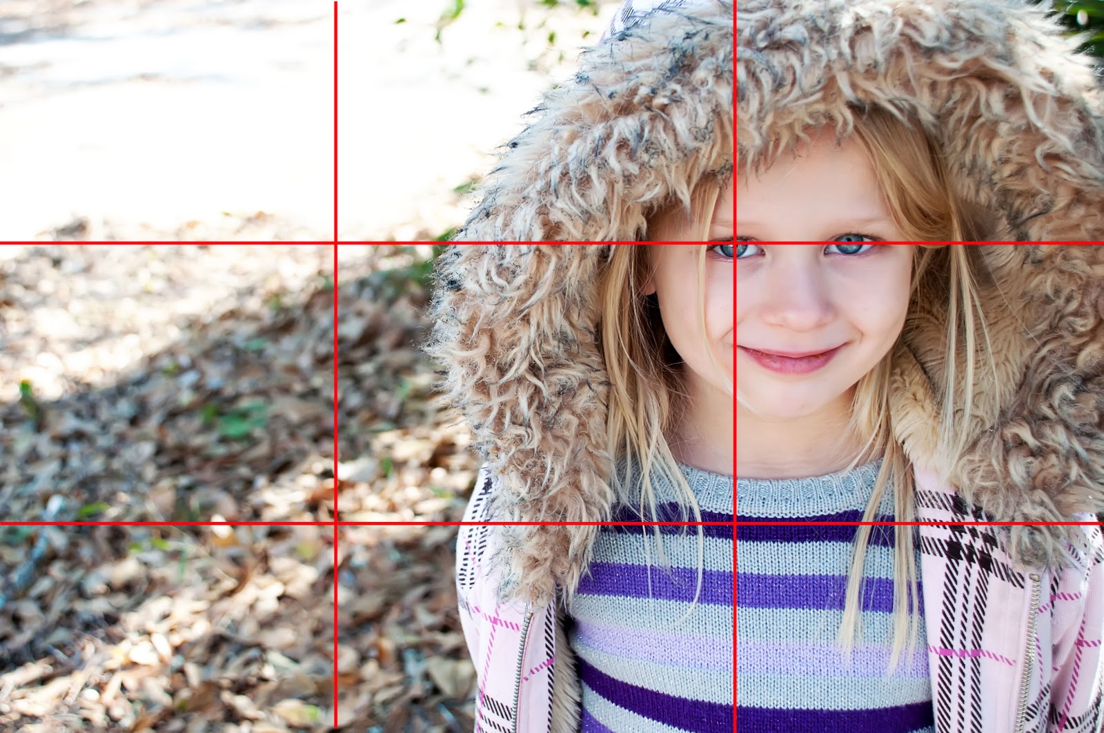 Snapshotz Photography: Amanda Blogs About} Photo Composition - The Rule ...