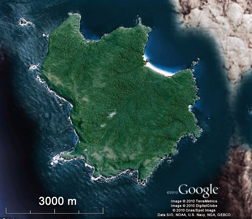 Polymotu: Bird conservation in New Zealand