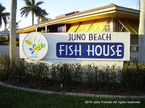 Jane's Bits: Juno Beach Fish House a Florida seafood treat
