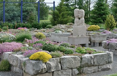 Country Gardener: June blooms: we're in fragrance heaven