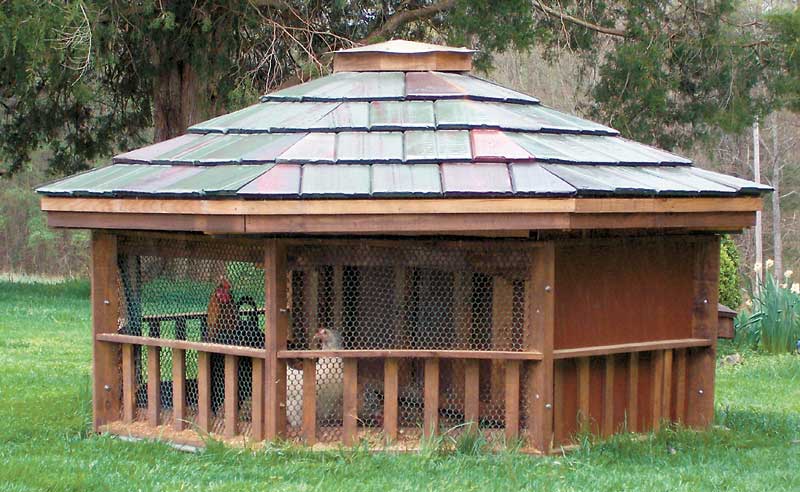 City Kid Farm: A Coop d'Etat