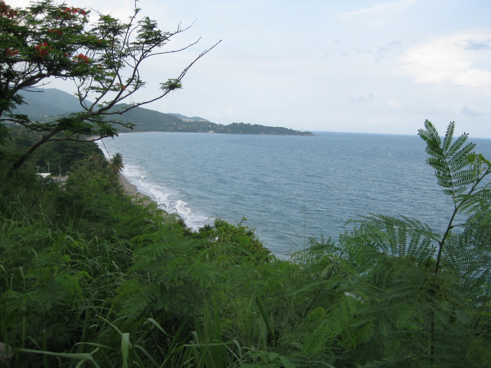 Puerto Rico Is The Place