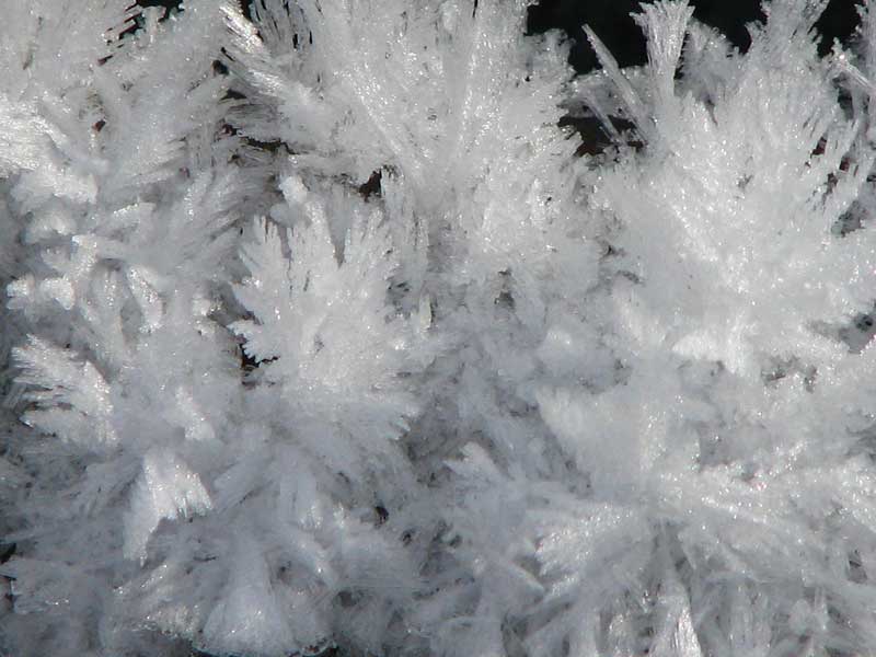 Winterwunderland, Wunderland, Winter