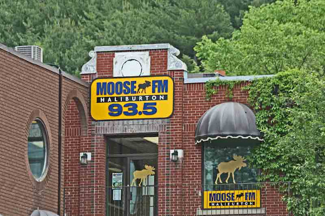 East Gwillimbury CameraGirl: Moose, eh?/ My World