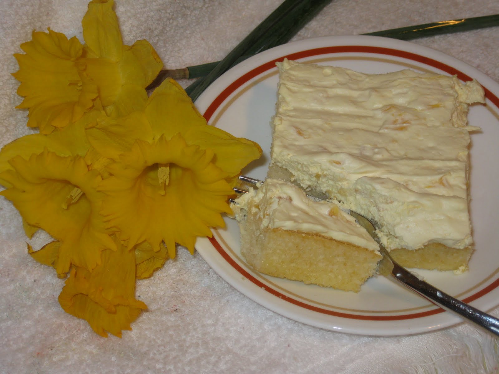 Rebecca's Sweet Escapes: Spring Break Cake!