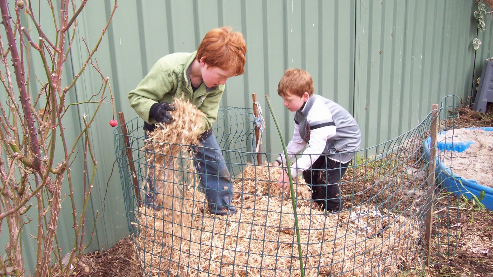 toward sustainability with three kids......: Compost and craft