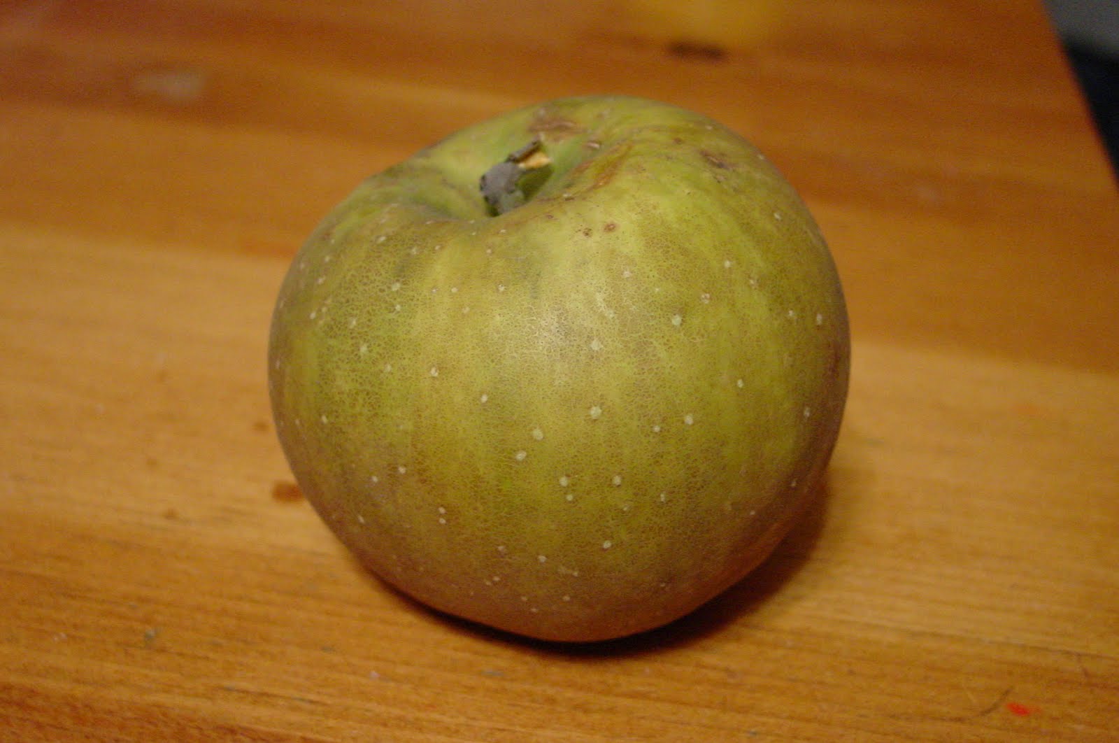 Wagon Wheel Orchard: Apple of the Month - Ashmead's Kernel