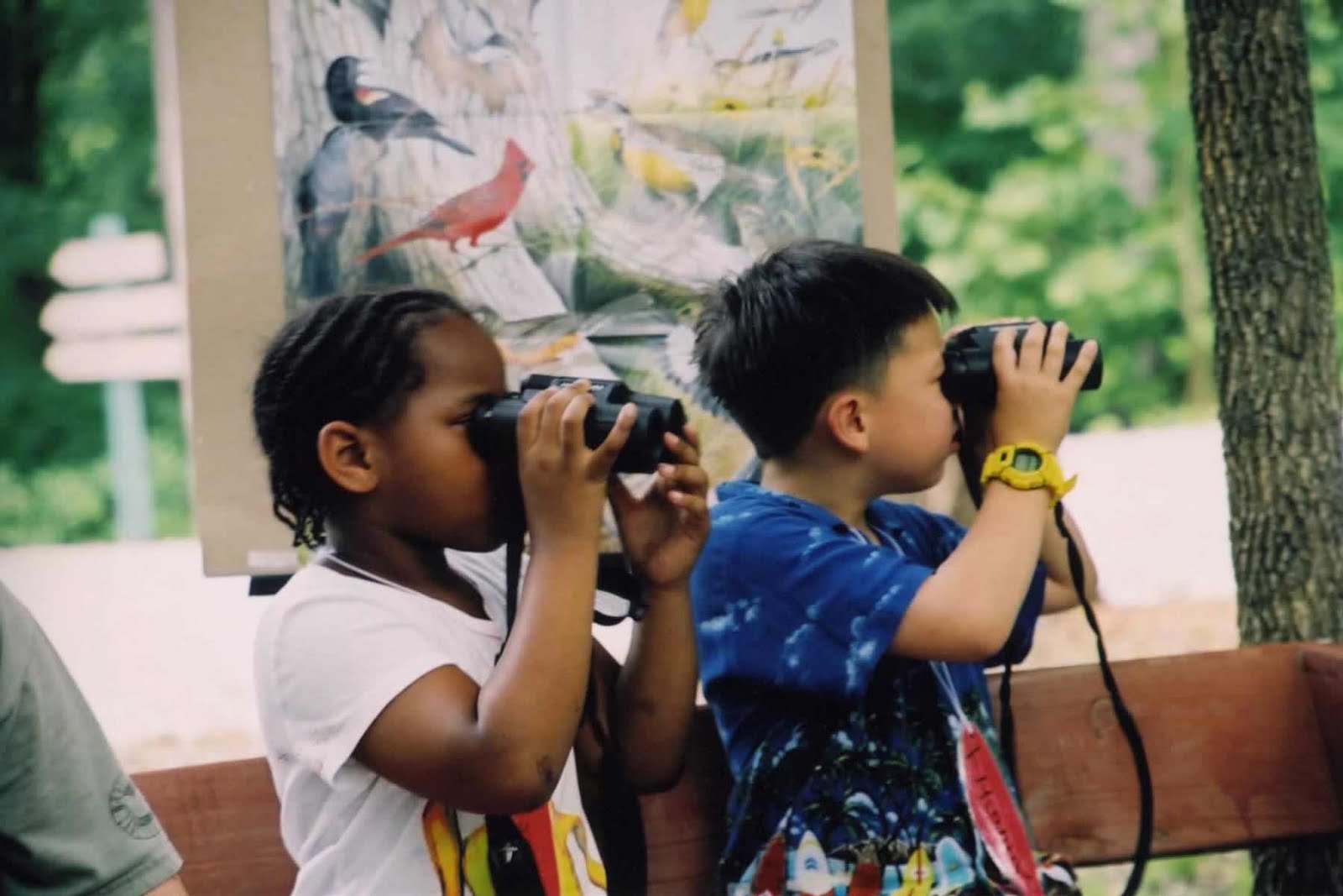 World Bird Sanctuary: International Migratory Bird Day