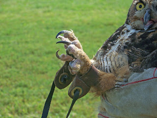 World Bird Sanctuary: A Creance Kind of Day
