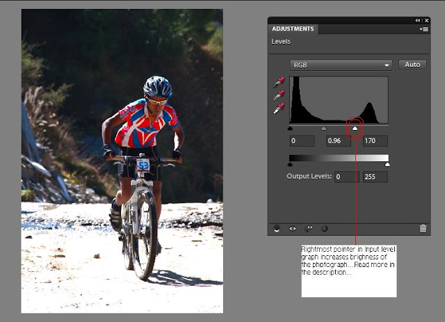 Magic of Level Adjustments in Adobe Photoshop Elements - Auto Levels ...