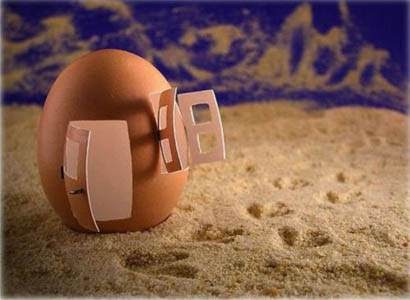 Most Amazing Things in the World - Amazing facts, Incredible Videos ...