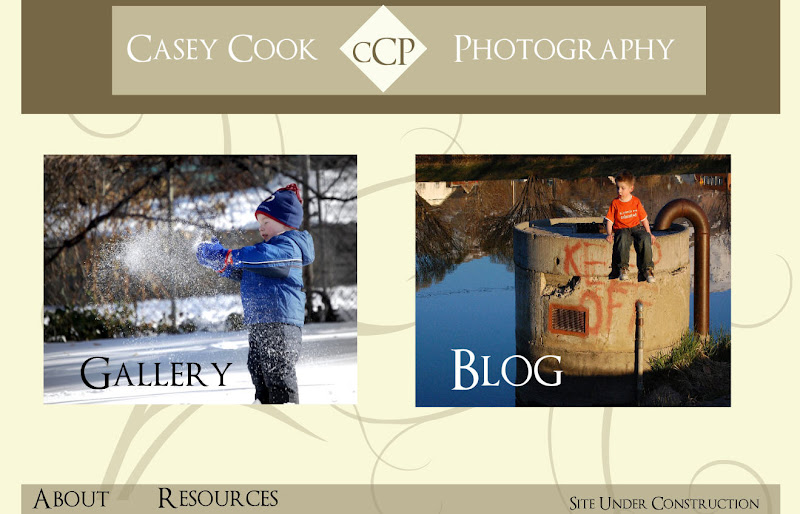 Casey Cook Photography: Casey Cook Photography Site
