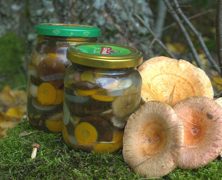 Köögitoimkond: Marineeritud seened